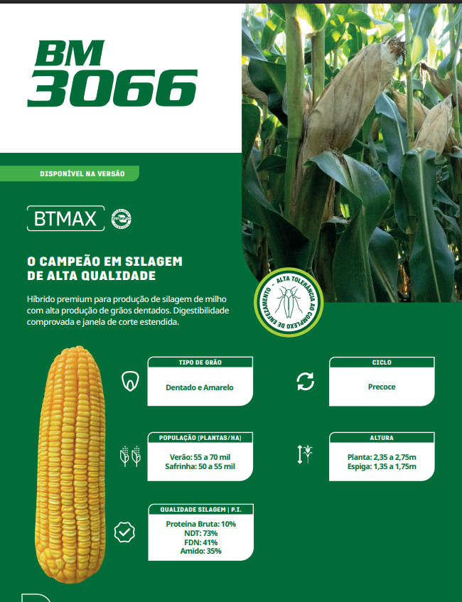 Semente Milho Hibrido 3066 BTMAX - Com 2Kg - AgroJão