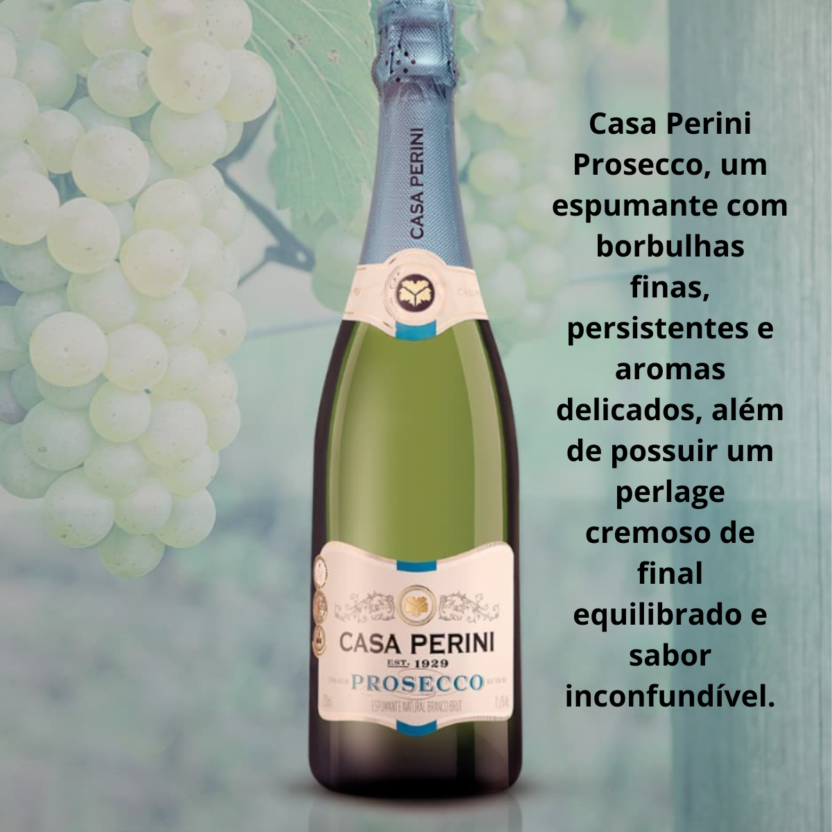 Espumante Casa Perini Prosecco Brut 750Ml - MV Vinhos e espumantes