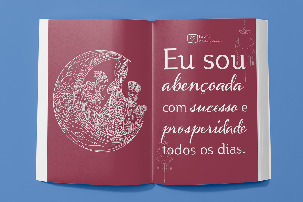 O Poder Dos Mantras Descubra Como Ativar O Poder 9786588484029 - Books4u