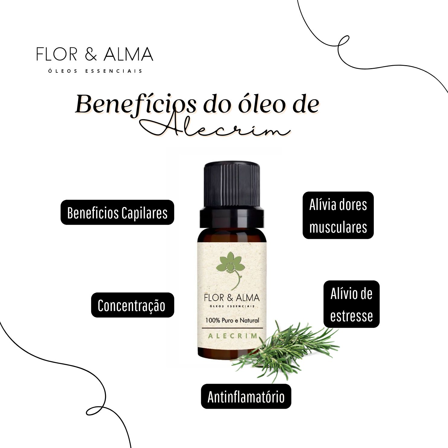 Óleo Essencial Alecrim Puro e Natural 10 ml - Flor e Alma