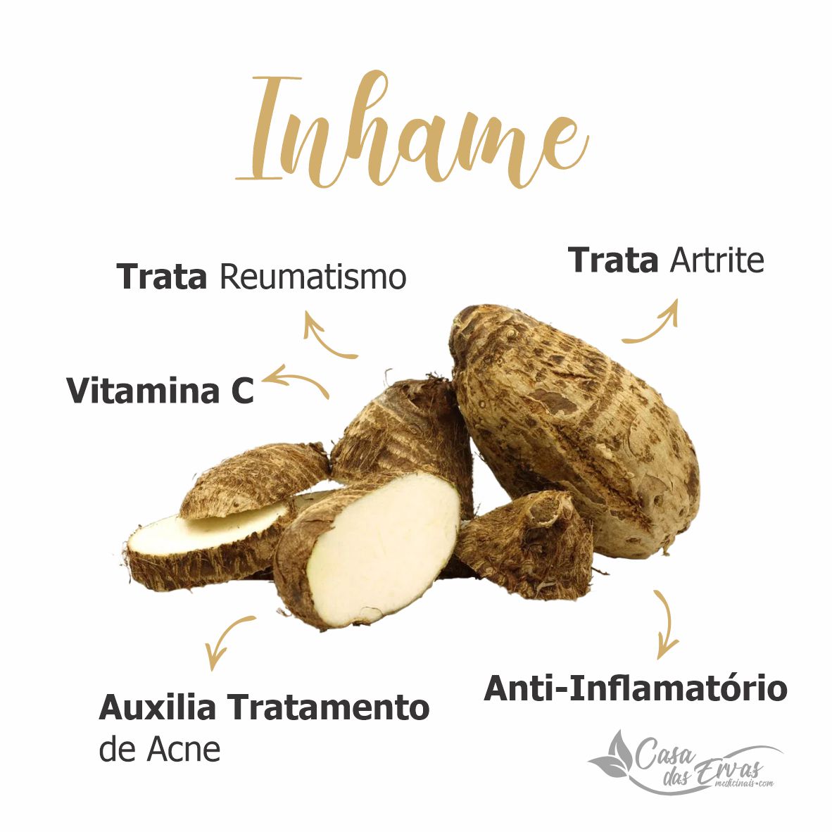 Elixir de Inhame 120 Cápsulas - 500 MG - Casa das Ervas Medicinais