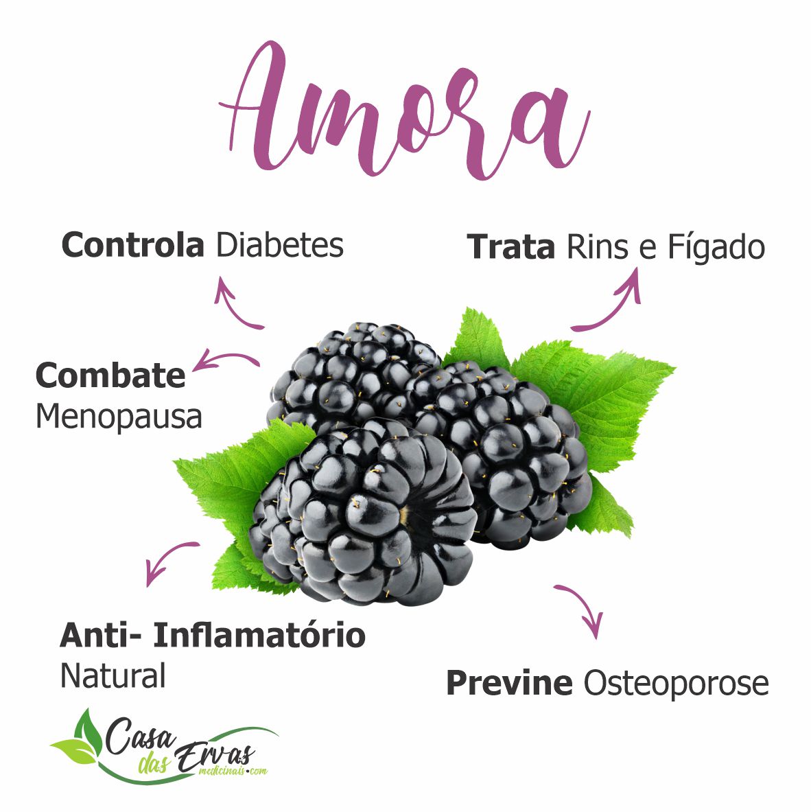 Amora Miura 500 ML - Casa das Ervas Medicinais