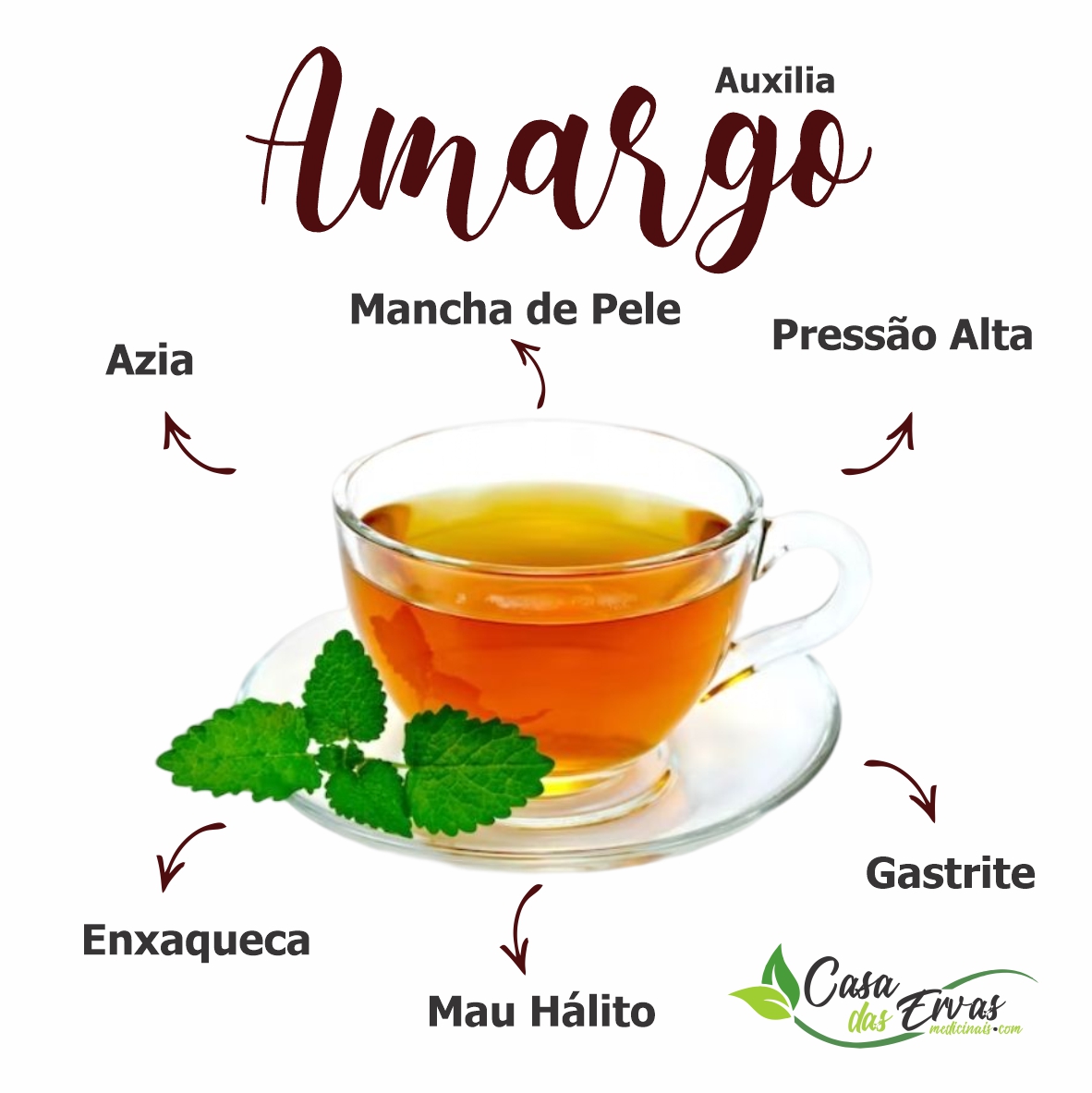 Amargo - Digestivo Natural 100 ML - Casa das Ervas Medicinais