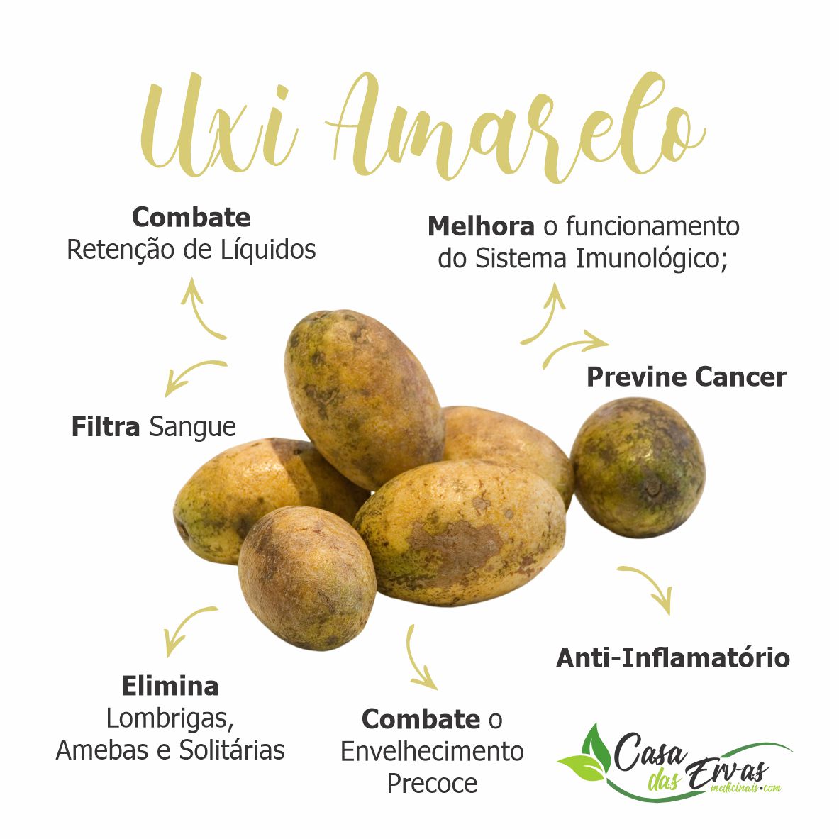 Uxi Amarelo e Unha de Gato 120 Cápsulas - 500 MG - Casa das Ervas ...