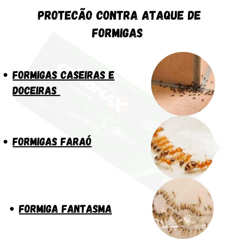 Formicida Gel Citromax 10g | Elimina Formigas com Eficiência ...