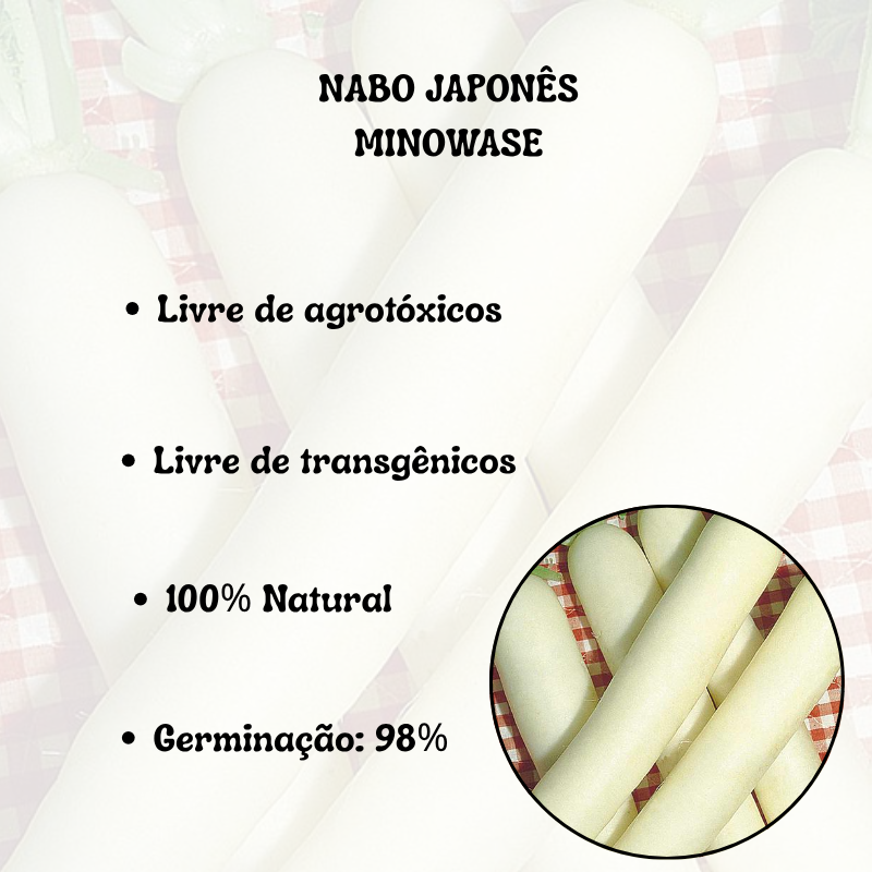 Semente de Nabo Rábano Japonês Minowase Isla – Alta Produtividade ...