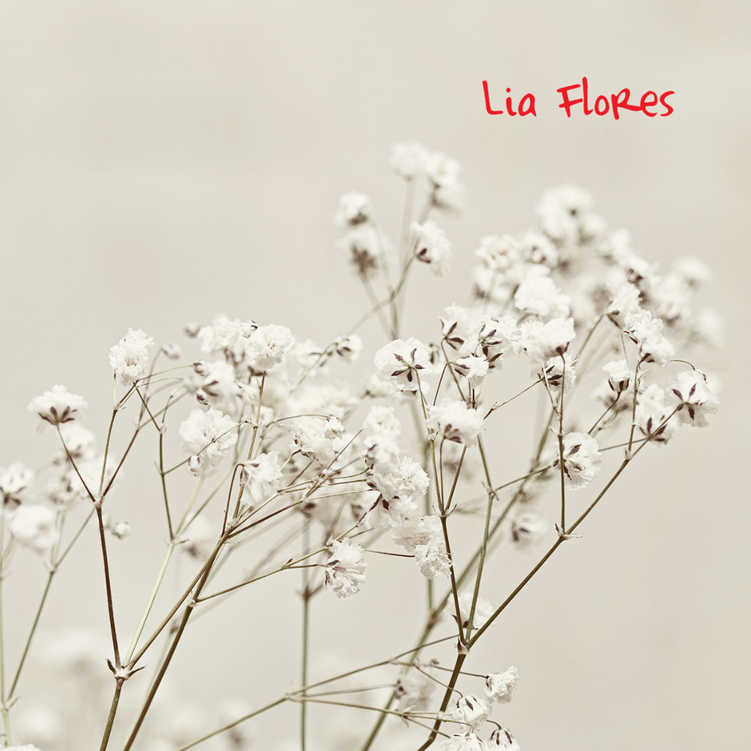 Gypsophila Branco (Mosquitinho Branco) - Flores Delicadas para Arranjo ...