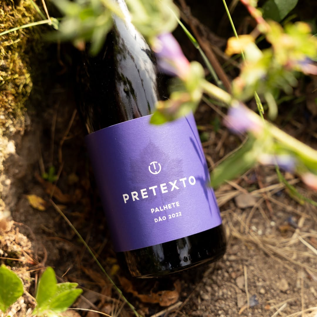 Textura Pretexto Palhete - Liber Wines | Descubra o sabor do novo