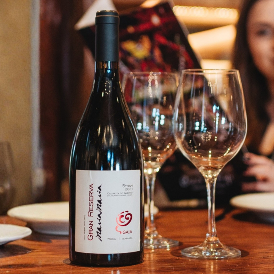 MARIA MARIA GAIA SYRAH GRAN RESERVA 2021 - Liber Wines | Descubra o ...