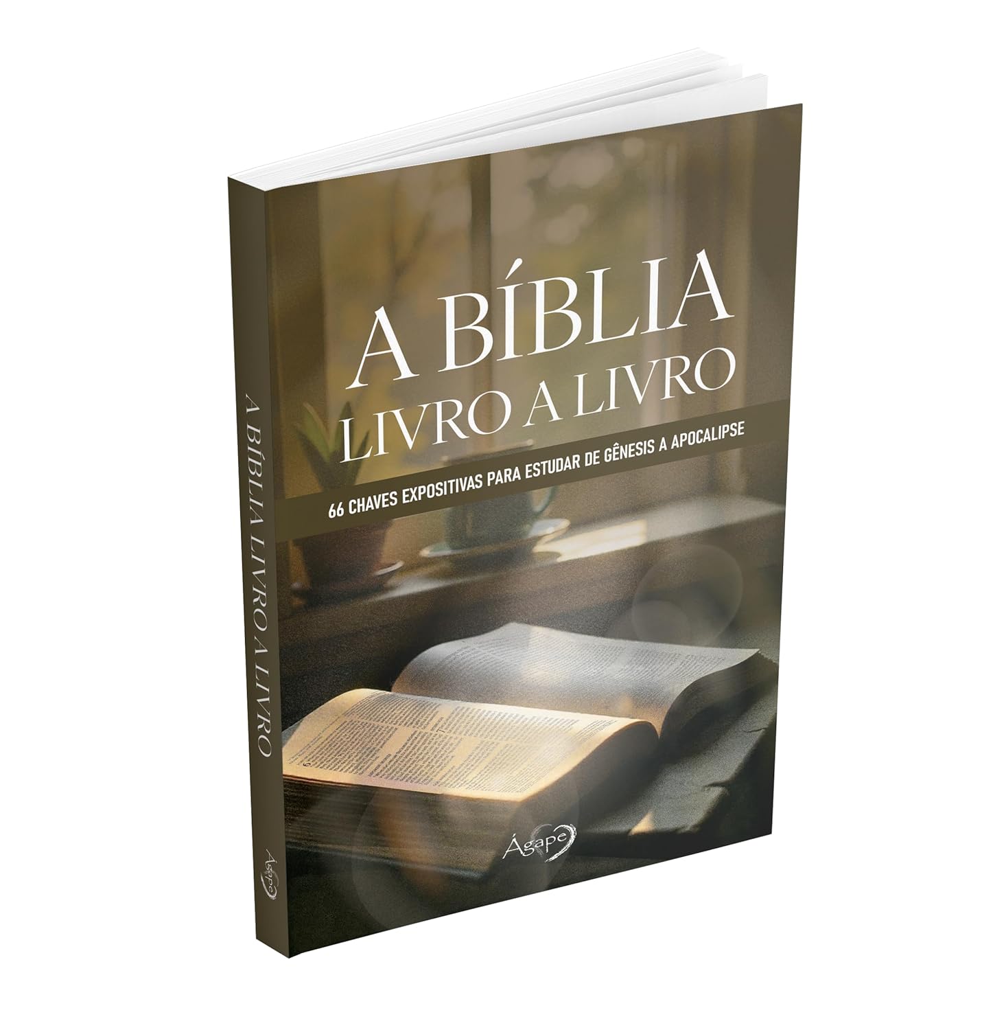 A Bíblia: Livro A Livro 66 Chaves Expositivas Para Estudar De Gênesis A Apocalipse - Editora Ágape