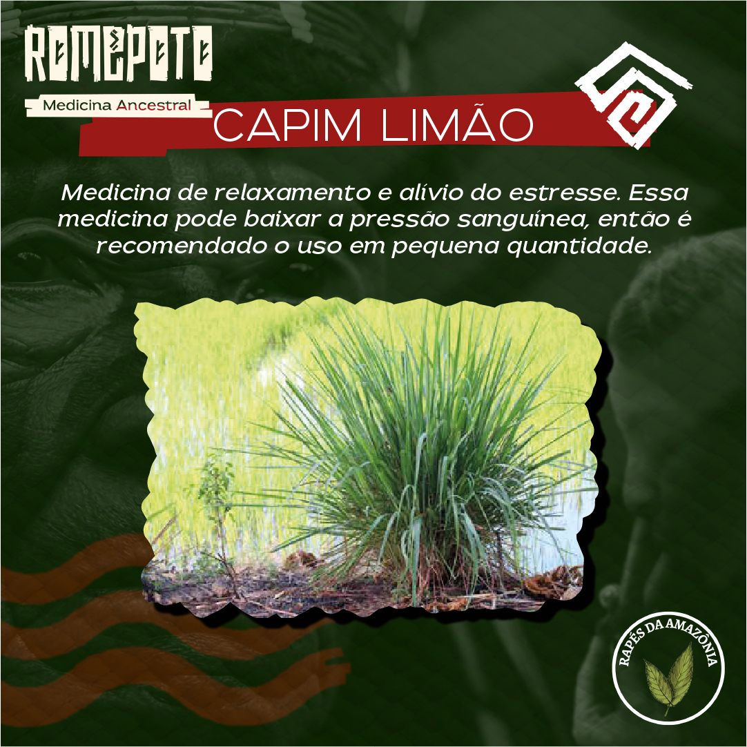 Capim Limão - Romepoto