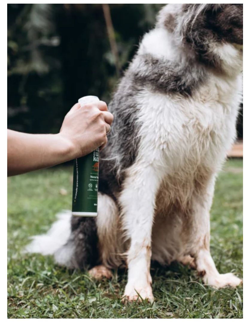 NATUKA SPRAY NEEM - 180 ml - BIONATURAU PET STORE