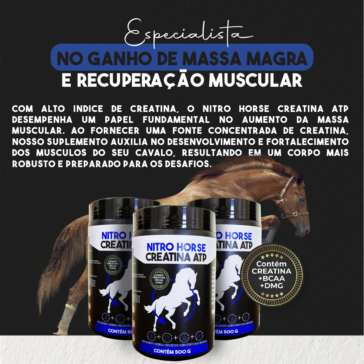 Suplemento para Cavalo Nitro Hourse Creatina - Pecon produtos veterinários