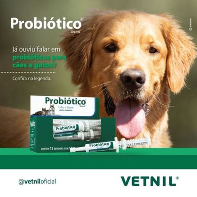 Probiótico Vetnil Cães e Gatos: Saúde e Equilíbrio Digestivo - Pet´s Place