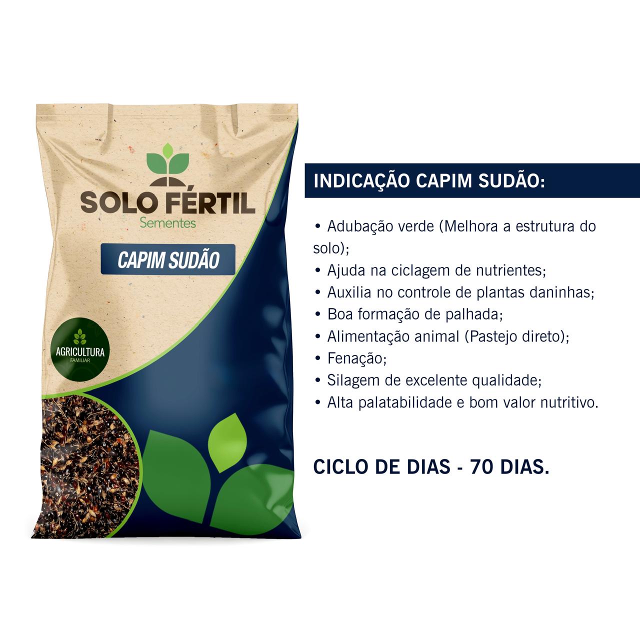 Sementes de Capim Sudão para Pastejo e Silagem - SOLO FÉRTIL SEMENTES