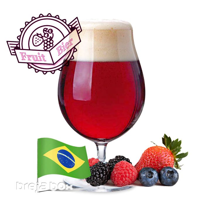 Fruit Bier kit receita - Breja Box - Breja Box - tudo para fazer ...