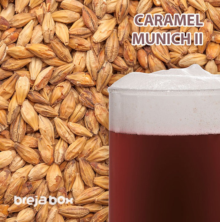 Malte Caramel 150 Viking Malt (CaraMunich II) | 140-160 EBC - Breja Box ...