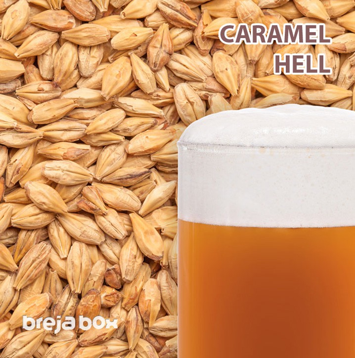 Malte Caramel 30 Viking Malt (CaraHell) | 20 -40 EBC - Breja Box - tudo ...