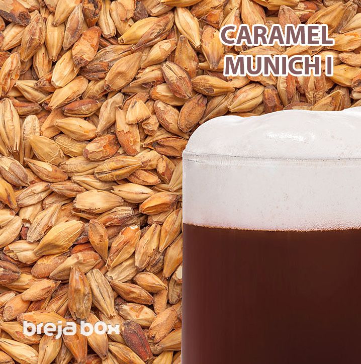Malte Caramel 100 Viking Malt (Caramunich I) | 90-110 EBC - Breja Box ...