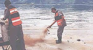 Absorg - Turfa – Absorvente Natural - Saco 10kg - Brasil Sorb