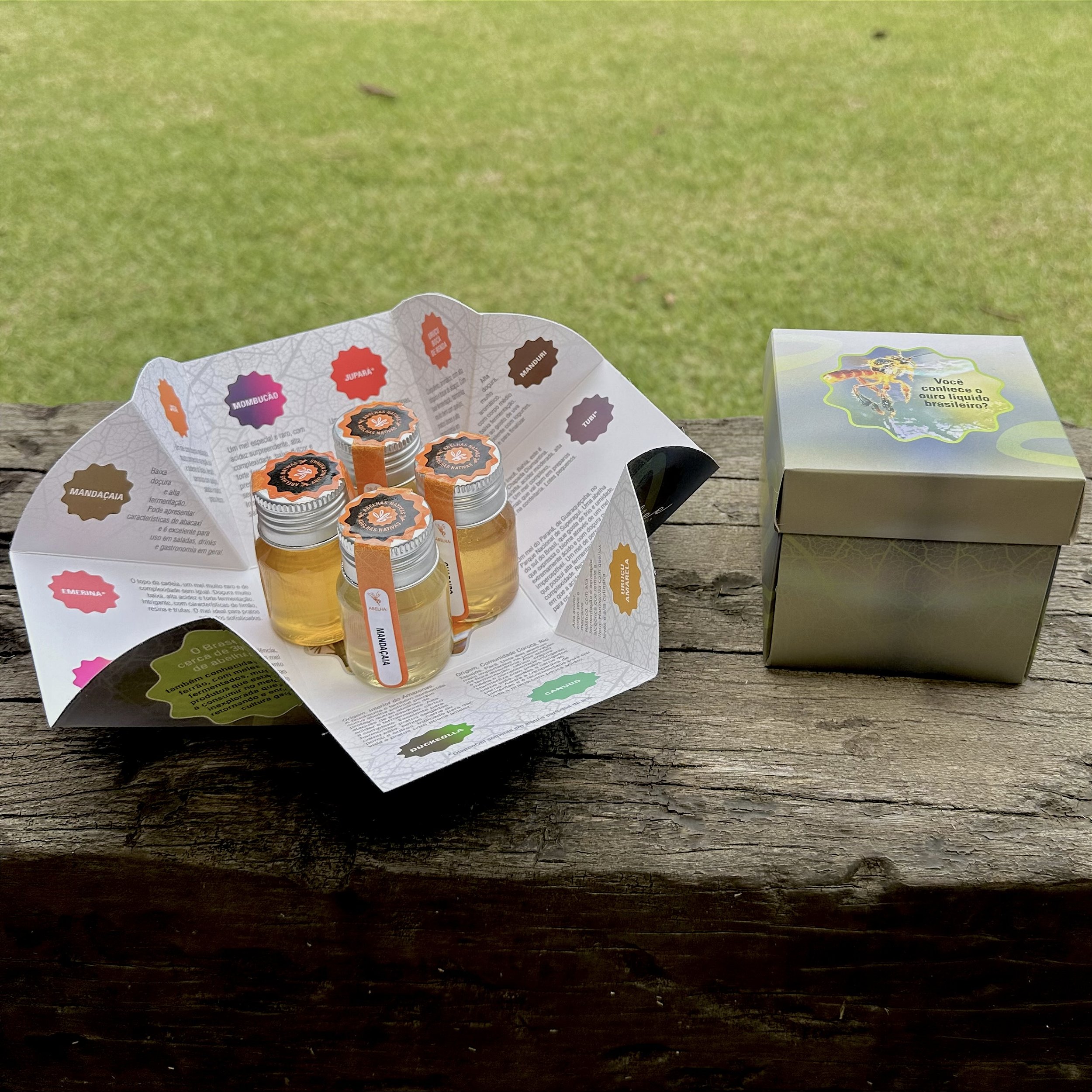 Caixa Folder Experiência 4 meles Nativos - MBee - Mel de Terroir.