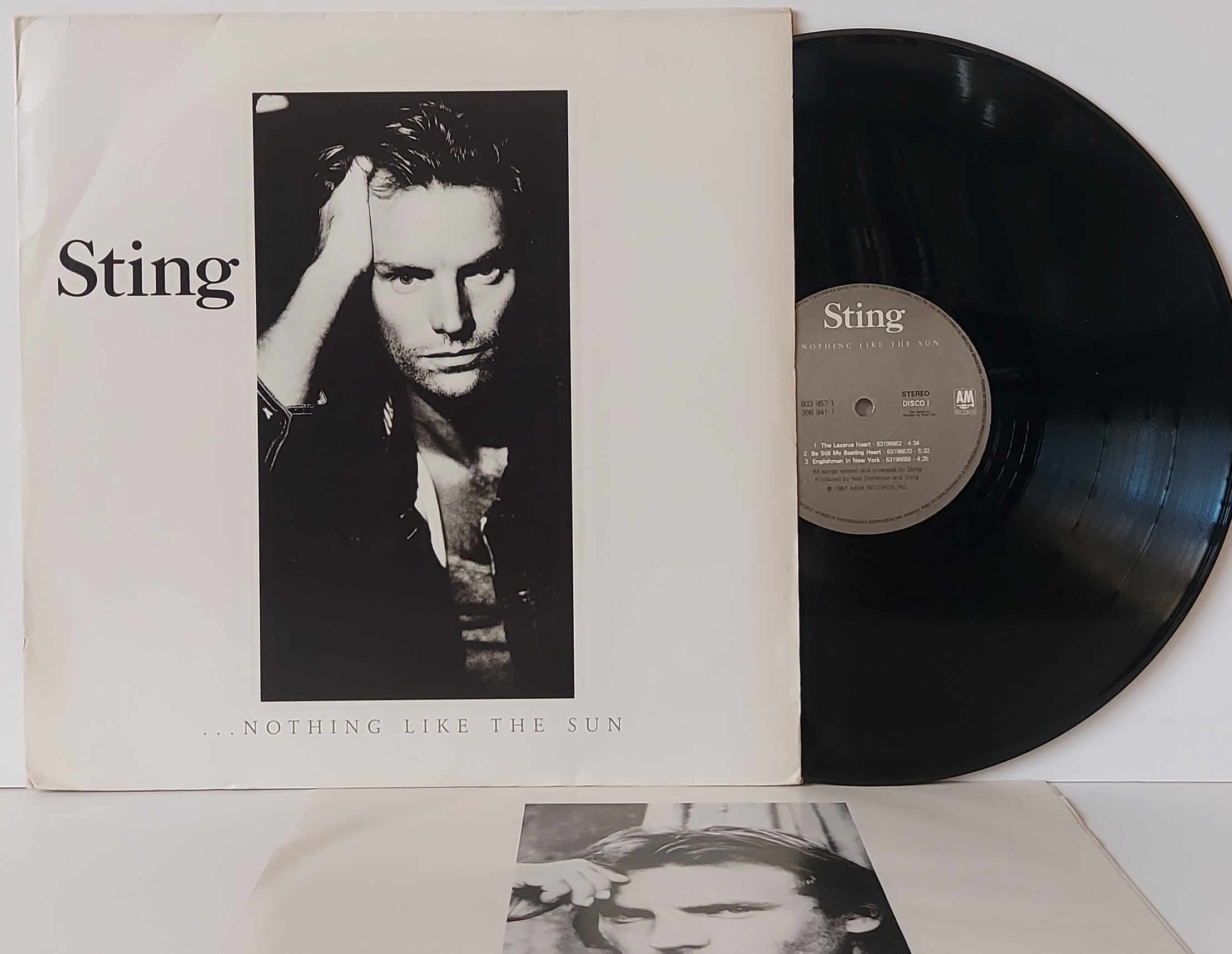 Sting ‎– ...Nothing Like The Sun - VINIL SP