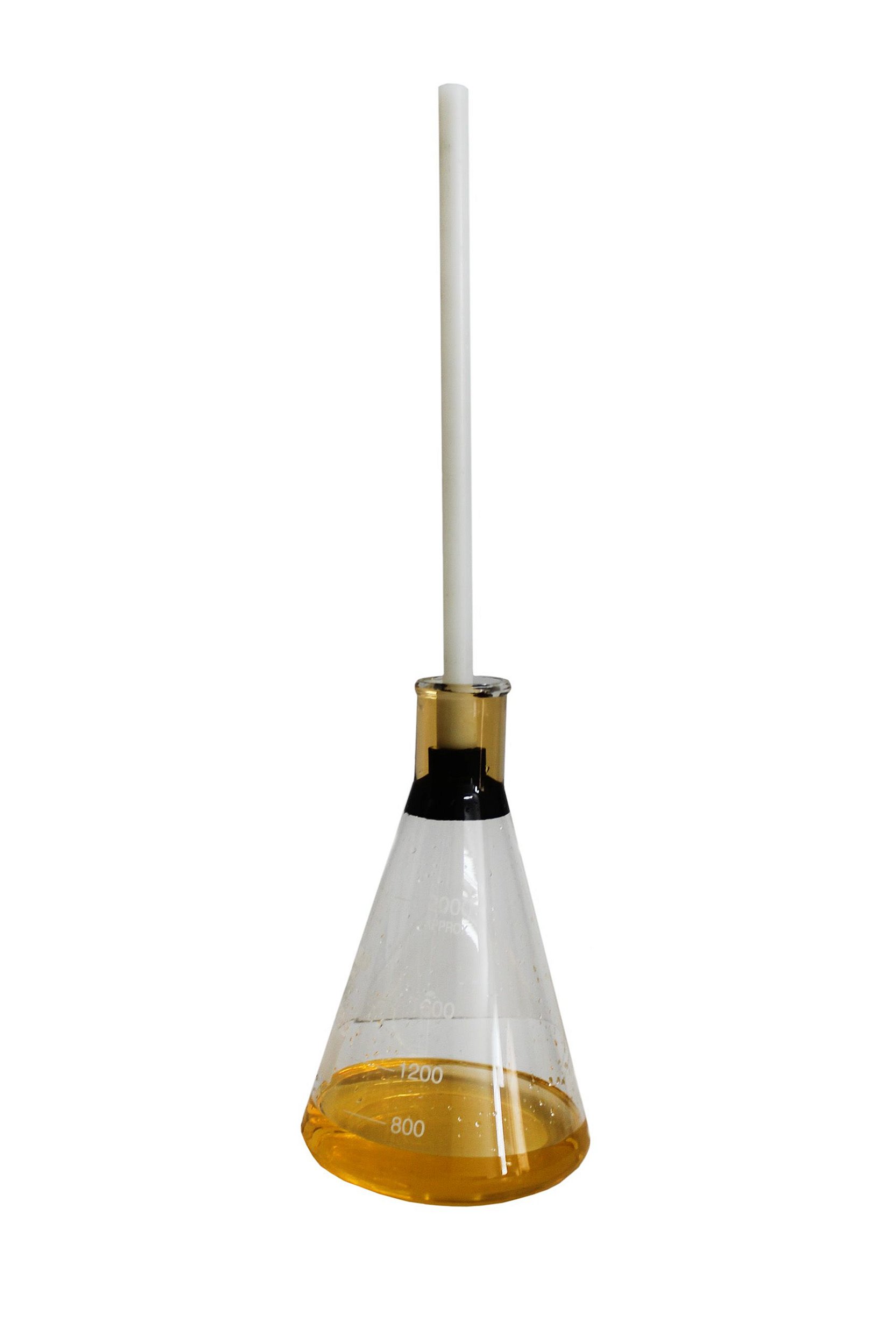 ARMADILHA DE WILDMANN 2L - Didática SP