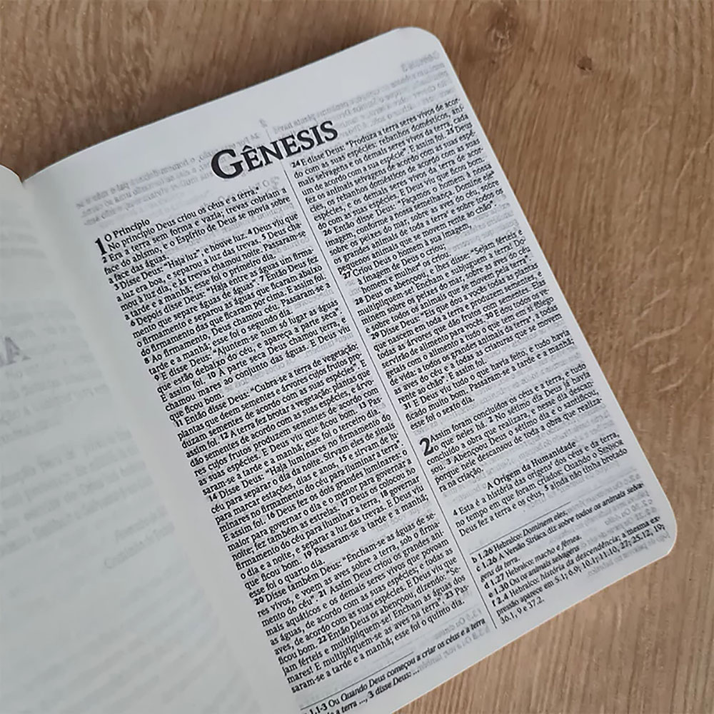 Bíblia NVI Econômica Ame o Senhor seu Deus - Livraria Evangélica Online