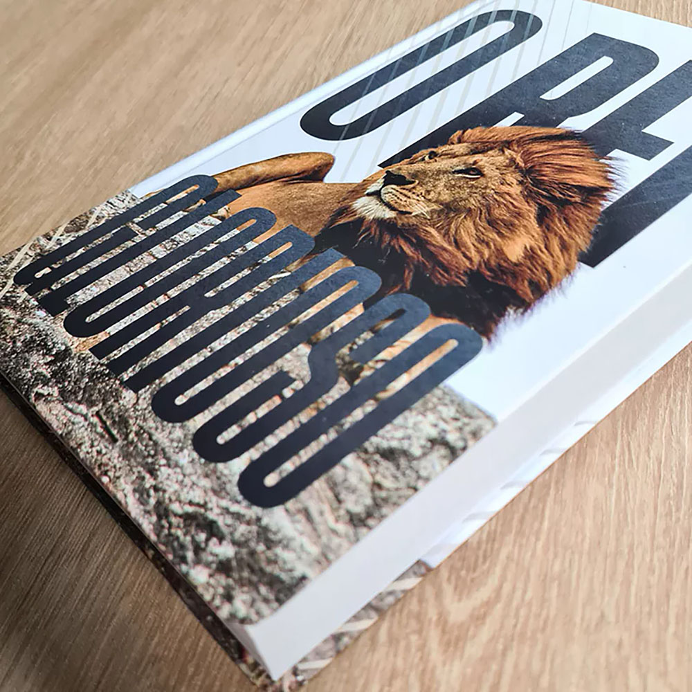 Bíblia Almeida Corrigida Fiel Capa Dura O Rei Glorioso - Livraria Evangélica Online