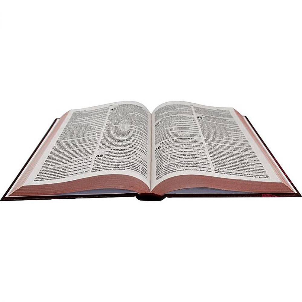 Bíblia ARC Capa Dura Flores - Livraria Evangélica Online