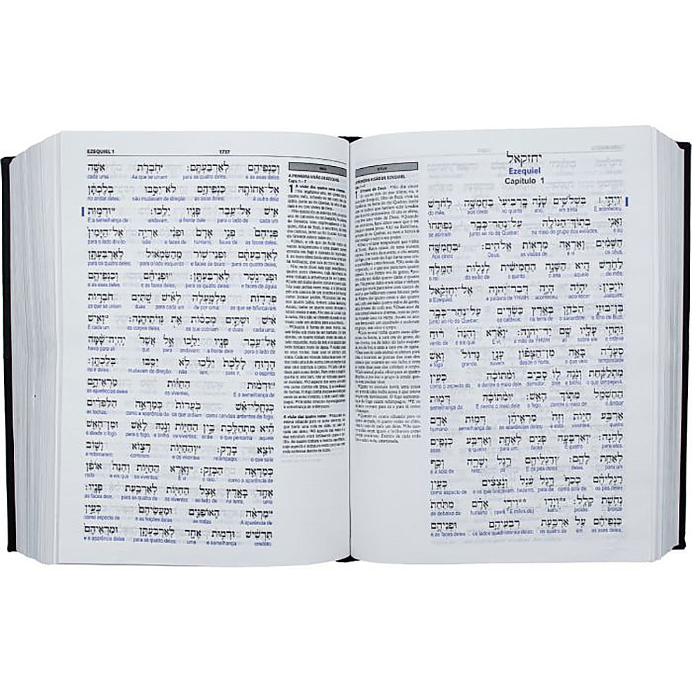 Bíblia Interlinear AT (Hebraico-Português) NT (Grego-Português ...