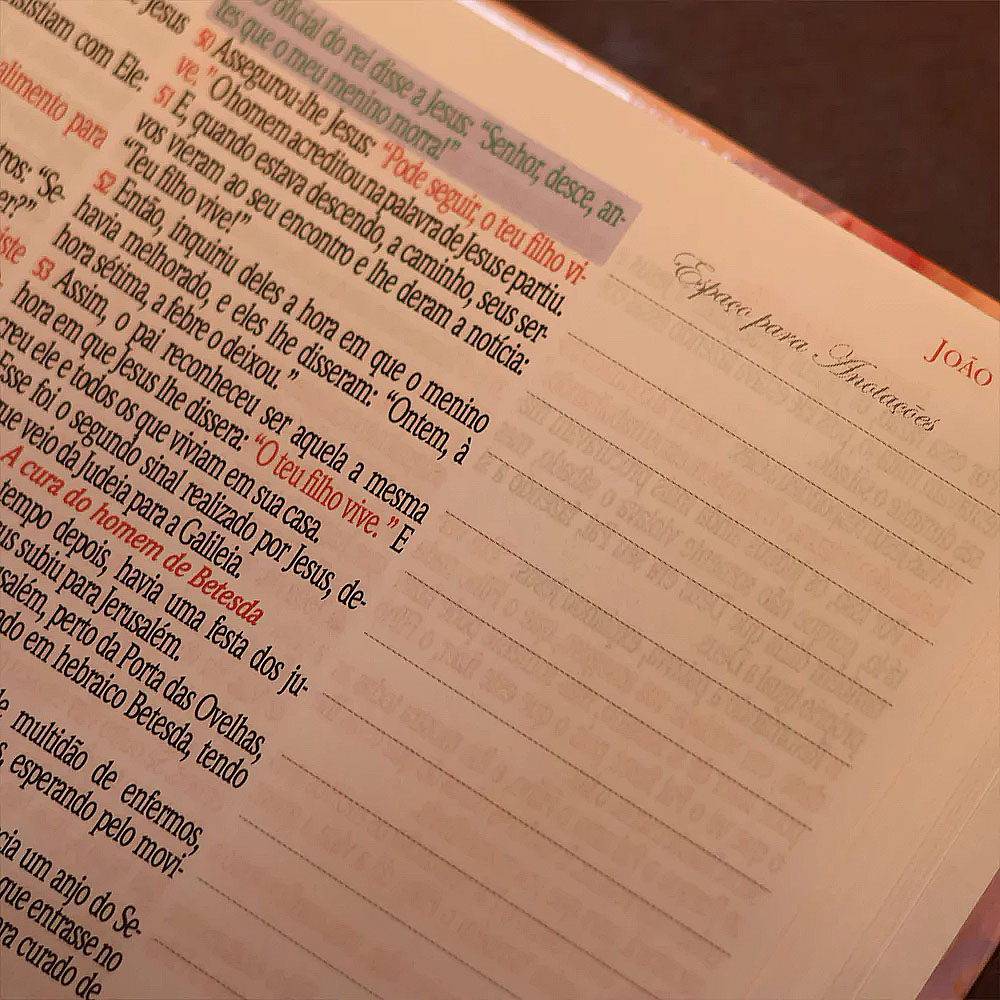 Bíblia King James 1611 Letra Grande Capa Dura Magnólia - Livraria ...