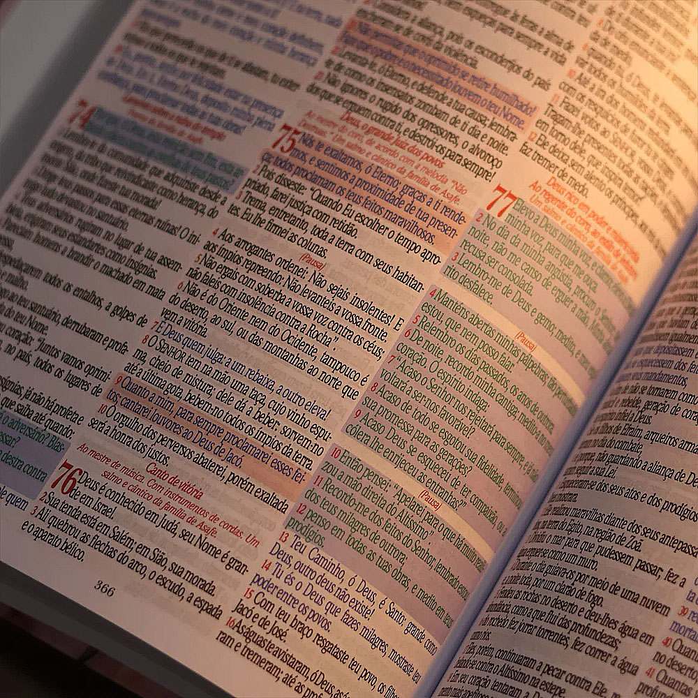 Bíblia King James 1611 Letra Grande Capa Dura Magnólia - Livraria ...