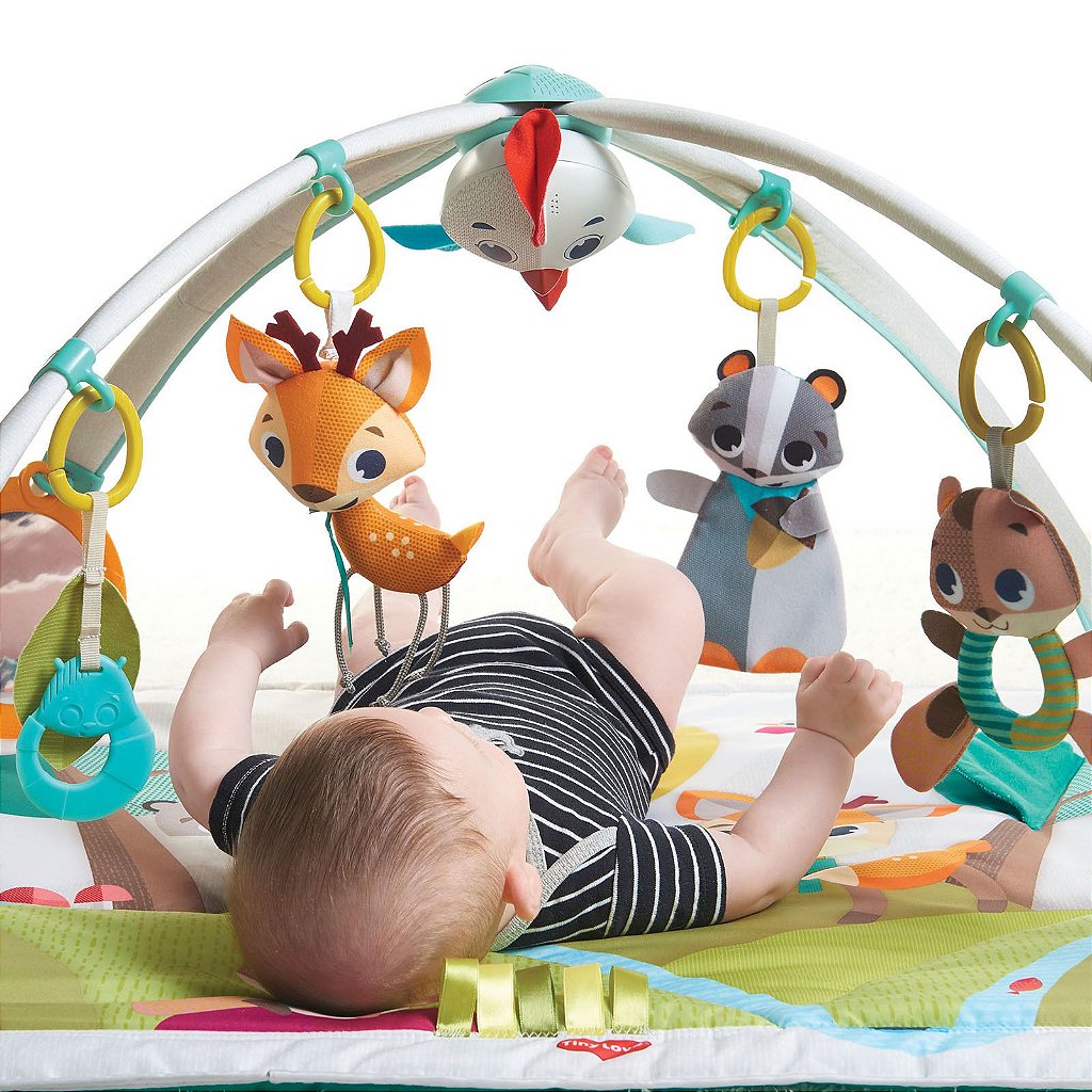 Tapete De Atividades Deluxe Gymini Into The Forest - Tiny Love ...