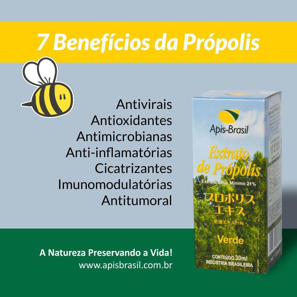 EXTRATO DE PROPOLIS VERDE 12 APIS BRASIL 30ML - Malagueta Produtos Naturais