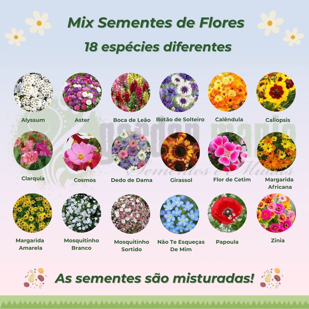 Mix 500 Sementes de Flores Sortidas - 18 Espécies Misturadas - Para ...