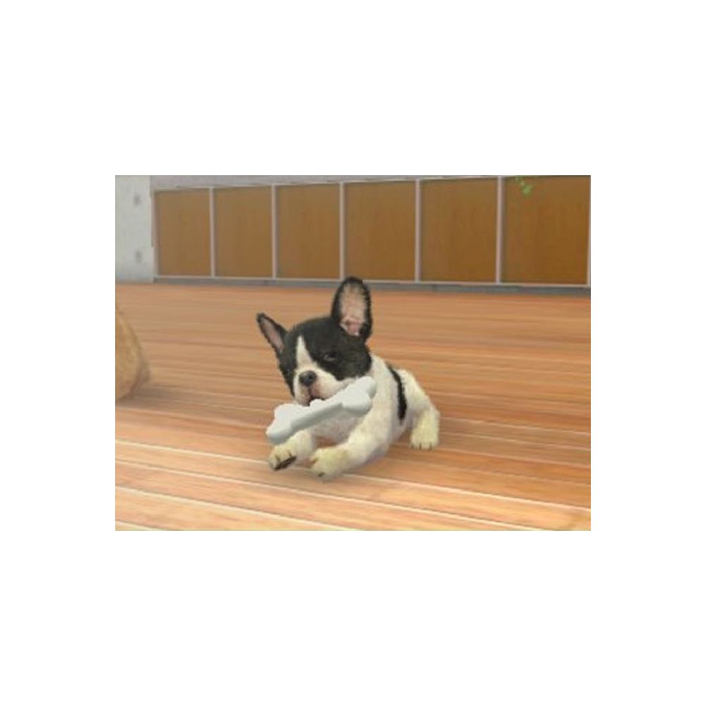 Jogo Nintendogs + Cats French Bulldog & New Friends - 3DS - Usado ...