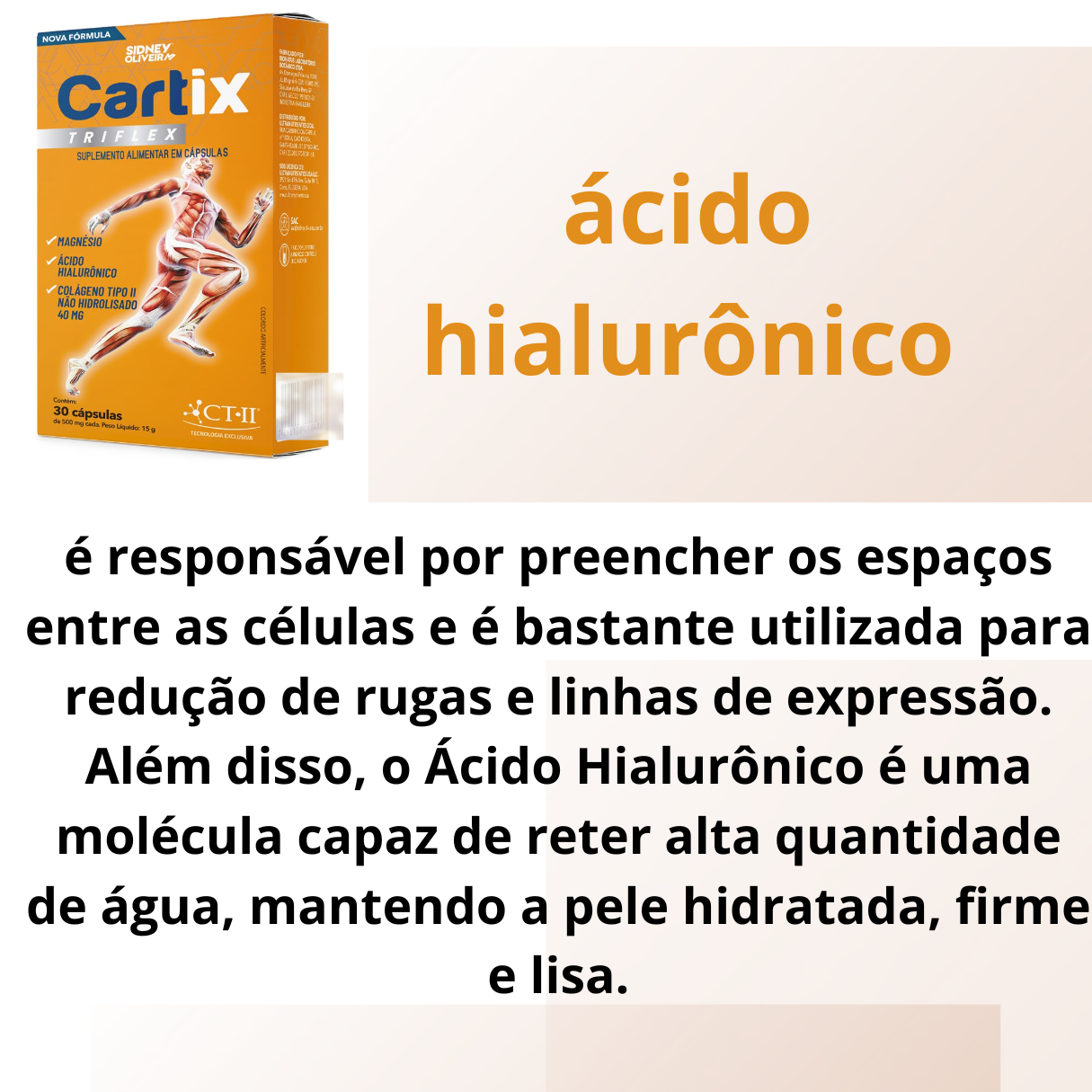 COLÁGENO TIPO II NÃO HIDROLISADO + ÁCIDO HIALURÔNICO + MAGNÉSIO CARTIX ...