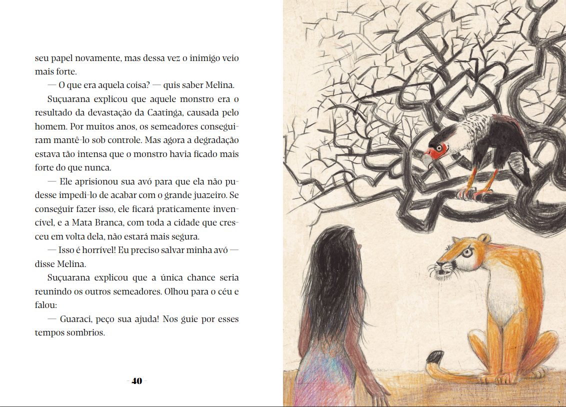 O Resgate da Mata Branca - D'Niro | M3 Editora | Timbu Editora | Sefarad Editora