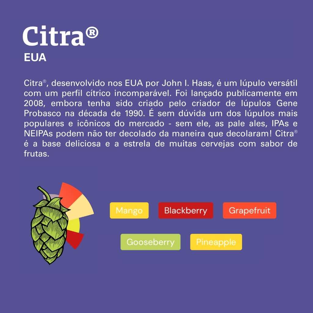 Lúpulo Citra 50g Pellets - Aroma Cítrico para Cervejas Artesanais ...