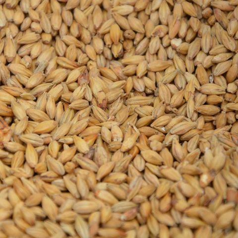 Malte Granomalt Pilsen (Souflet) - SACA 25 Kg - Piquiri Brewshop - Loja De Lúpulos, Extrato De ...