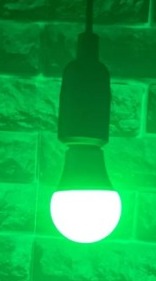 Lâmpada 7W LED Verde - Sustenta Led - A maior loja de lâmpadas ...