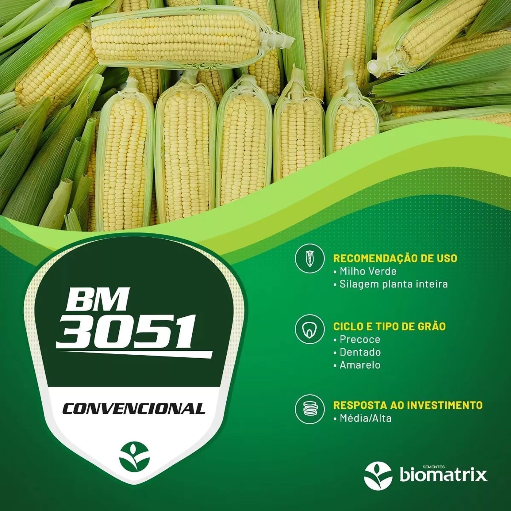 Semente De Milho Bm3051 Milho Verde 2 kgs - Biomatrix - AgroMaxx Brasil ...
