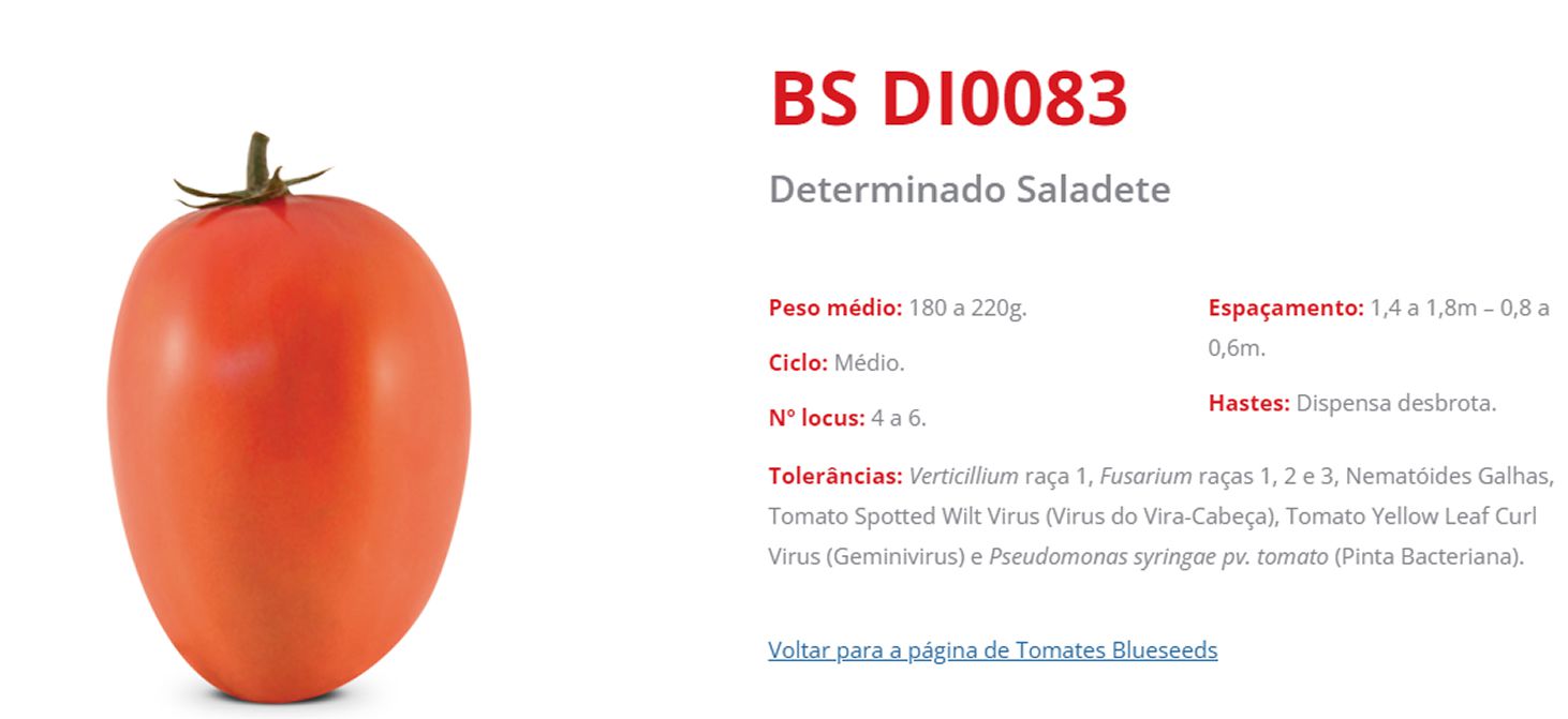 Semente Tomate Bs Di0083 1.000 Sementes Híbrido Saladete - AgroMaxx ...