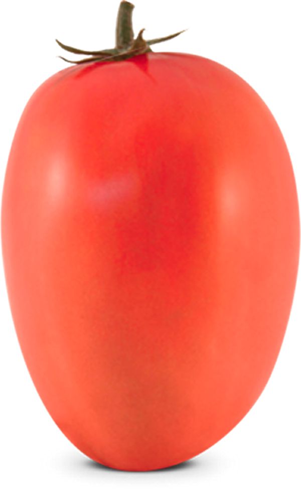 Semente Tomate Bs Di0083 1.000 Sementes Híbrido Saladete - AgroMaxx ...