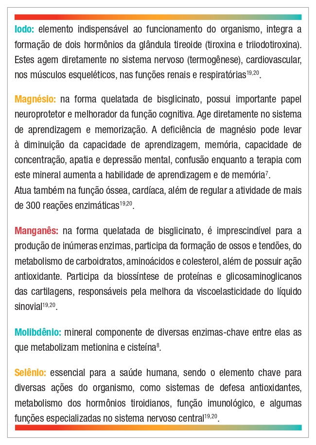 QUELATUS BARI BARISTAR BARIATRON MOMENTA - Drogaria do Farmacêutico