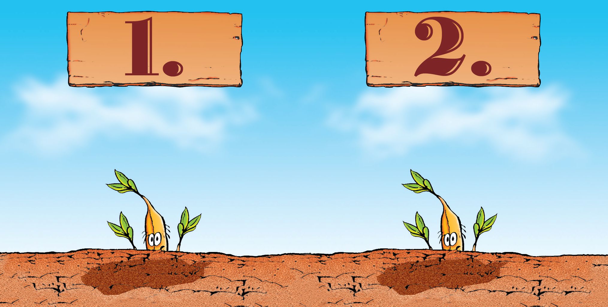 Bohnanza Papergames PandaBoardgames - PandaBoardGames