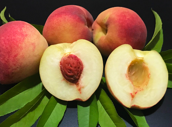 Muda Pêssego Mexicano Solta Caroço Enxertado - Novidade - Dancruz Plantas
