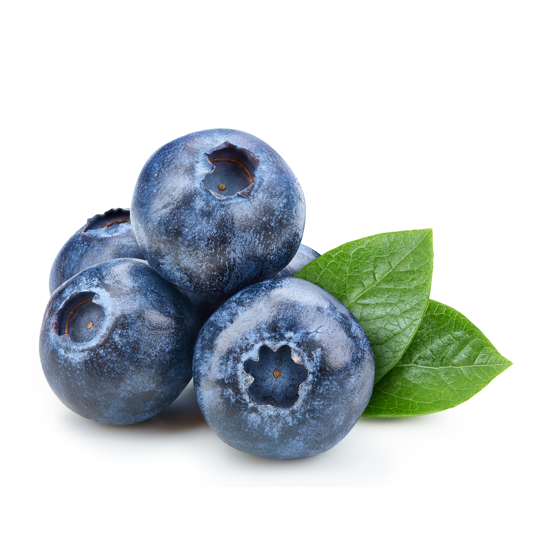 Kit 50 Mudas de Mirtilo - BlueBerry preste a produzir-Dancruz - Dancruz ...