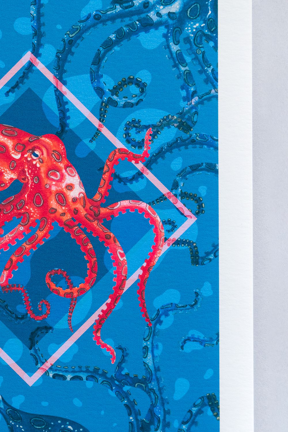 Mini Print From Colors Octopodinae Lazuli, com Polvos Cor de Rosa e ...